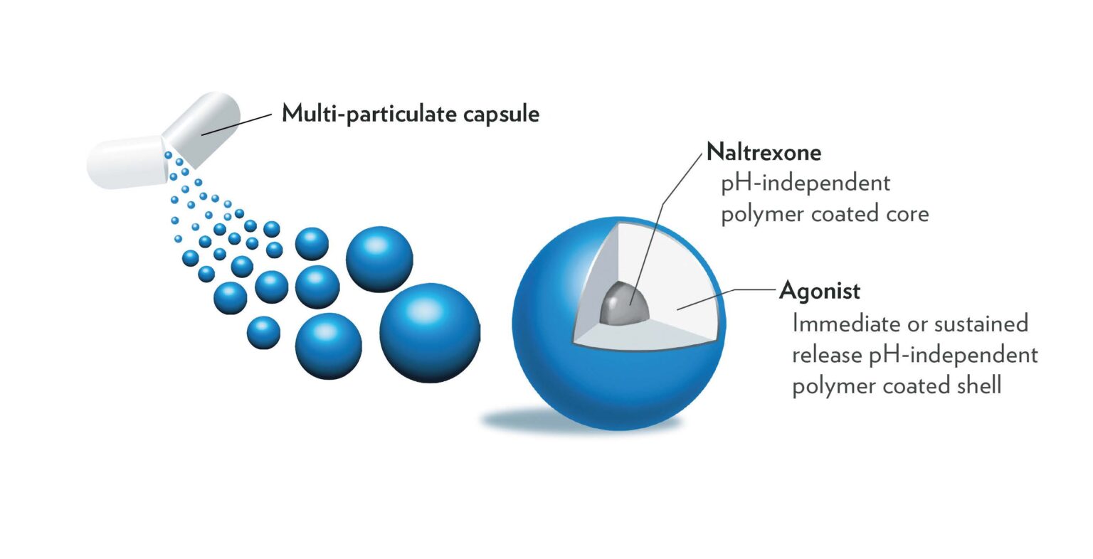 One Bead System -Elite Pharmaceuticals Inc.